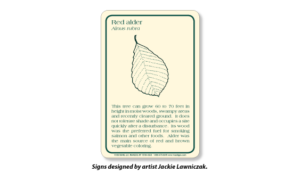 Tree Identification Tags - Voss Signs