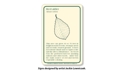 Tree Identification Tags - Voss Signs