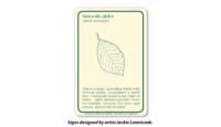 Tree Identification Tags - Voss Signs