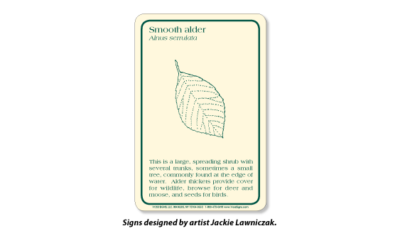 Tree Identification Tags - Voss Signs