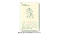 Tree Identification Tags - Voss Signs