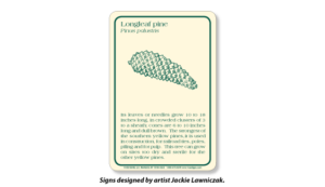 Tree Identification Tags - Voss Signs