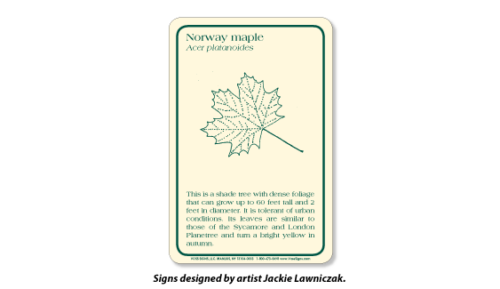 Tree Identification Tags - Voss Signs